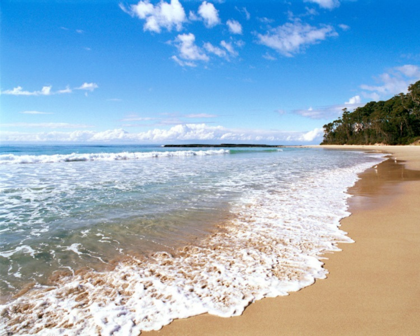 TH Brown Returns for 2026